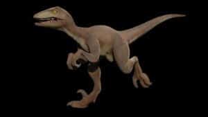 Velociraptor | A Swift Predator from the Cretaceous Period