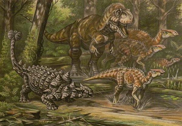 Dinosaur Periods of the Mesozoic Era Triassic-Jurassic-Cretaceous