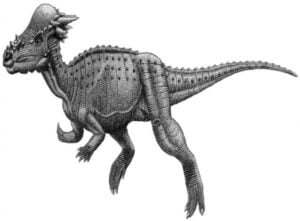 Stygimoloch | Intriguing Horned Dinosaur of the Late Cretaceous