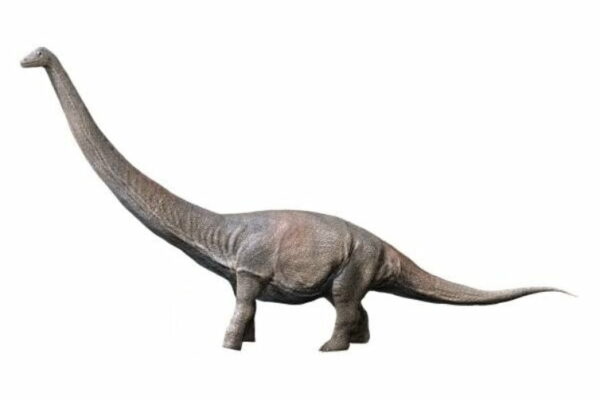 Dreadnoughtus | A Colossal Sauropod of the Late Cretaceous