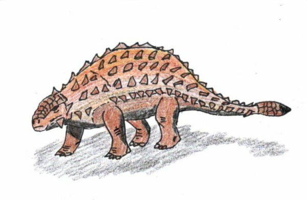 Saichania:”The Beautiful One” from the Late Cretaceous