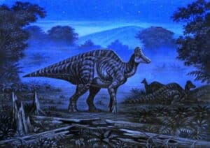 Hypacrosaurus | A Tall Duckbill Dinosaur from the Late Cretaceous