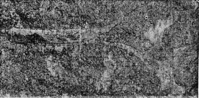 Podokesaurus | Swift-Footed Dinosaur of the Early Jurassic