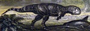 Rugops | Wrinkle-Faced Dinosaur from Africa