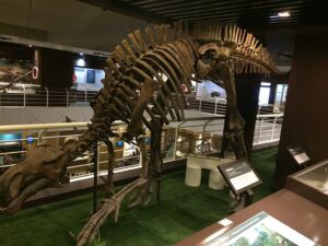 Probactrosaurus | An Early Cretaceous Herbivore Giant