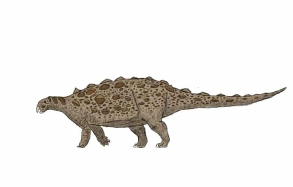 Gobisaurus | The Gobi Desert's Early Cretaceous Marvel