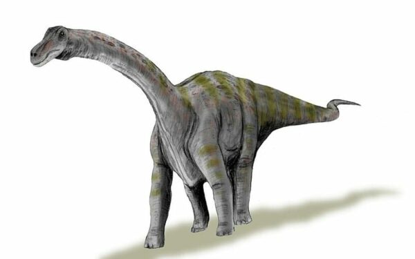 Rapetosaurus | The Late Cretaceous Giant of Madagascar