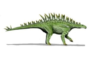 Huayangosaurus | Middle Jurassic Dino | Stegosauria Group