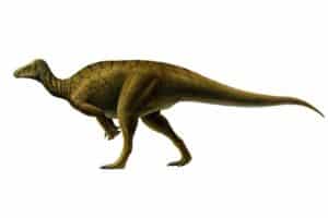 Hippodraco | The Early Cretaceous “Horse Dragon” from Utah