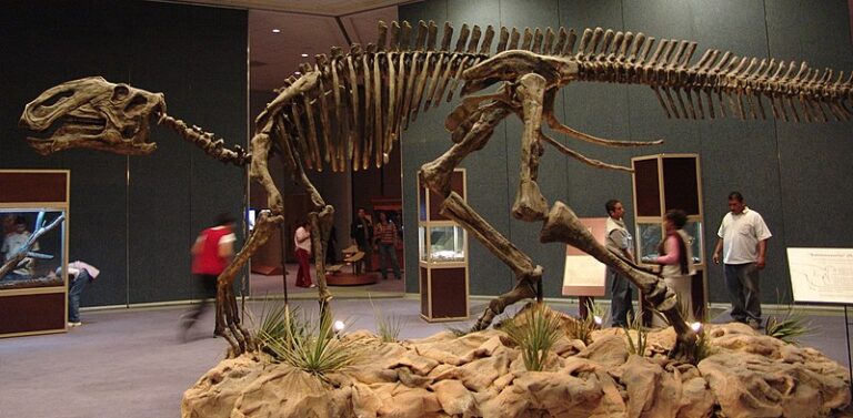 Kritosaurus | The Separated Lizard Herbivore of the Late Cretaceous Period