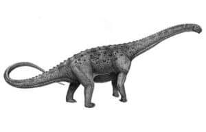 Janenschia | Titanosaurid Giant of the Late Jurassic Era