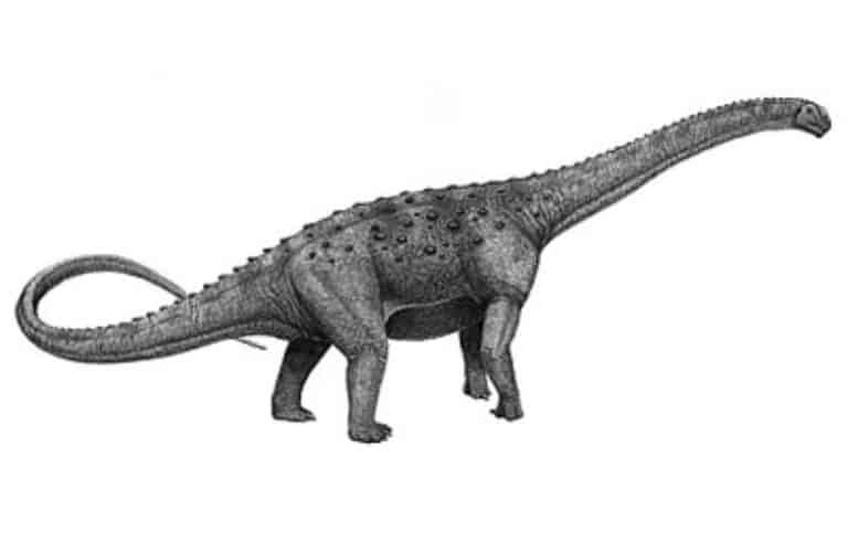 Janenschia | Titanosaurid Giant of the Late Jurassic Era