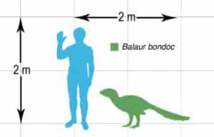 Balaur | The Stocky Dragon of the Late Cretaceous Period