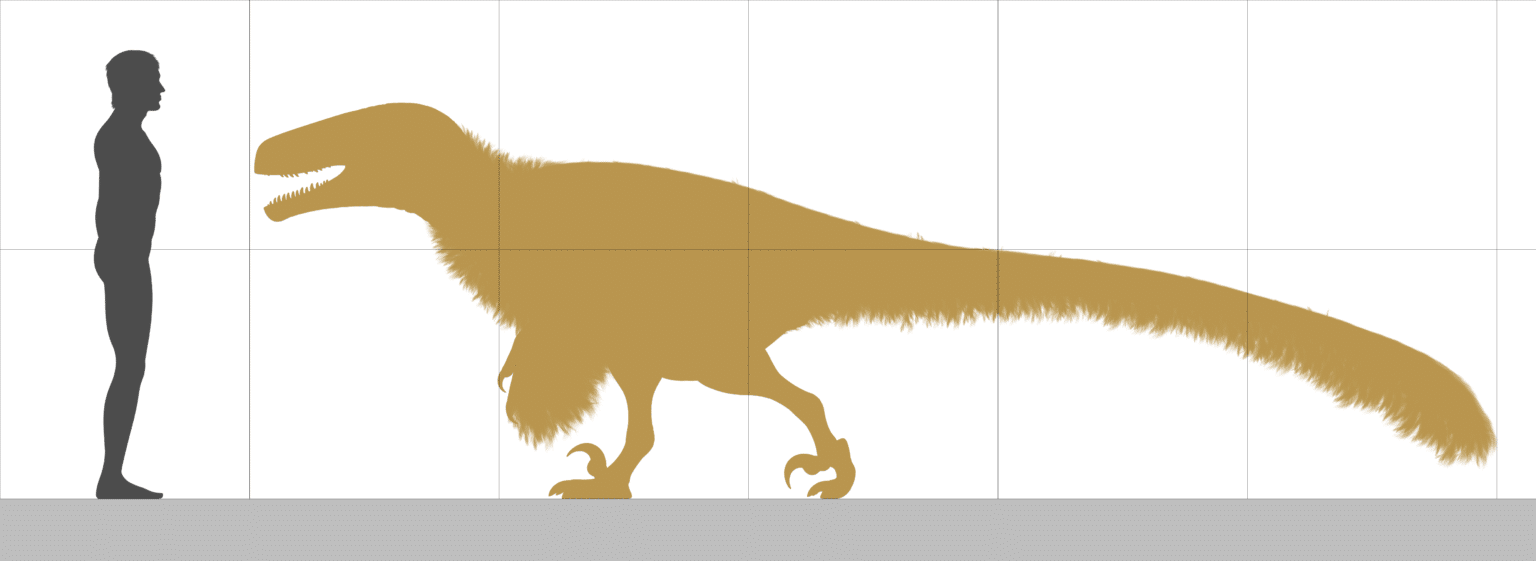 Achillobator | Mongolian Theropod from the Late Cretaceous