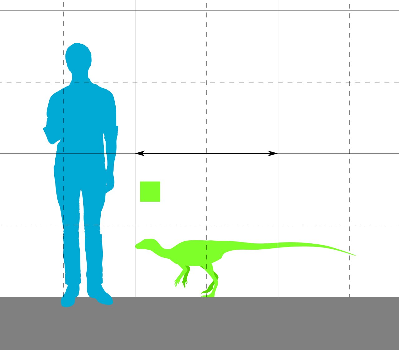 Agilisaurus: Unveiling the Agile Dino of the Jurassic Era