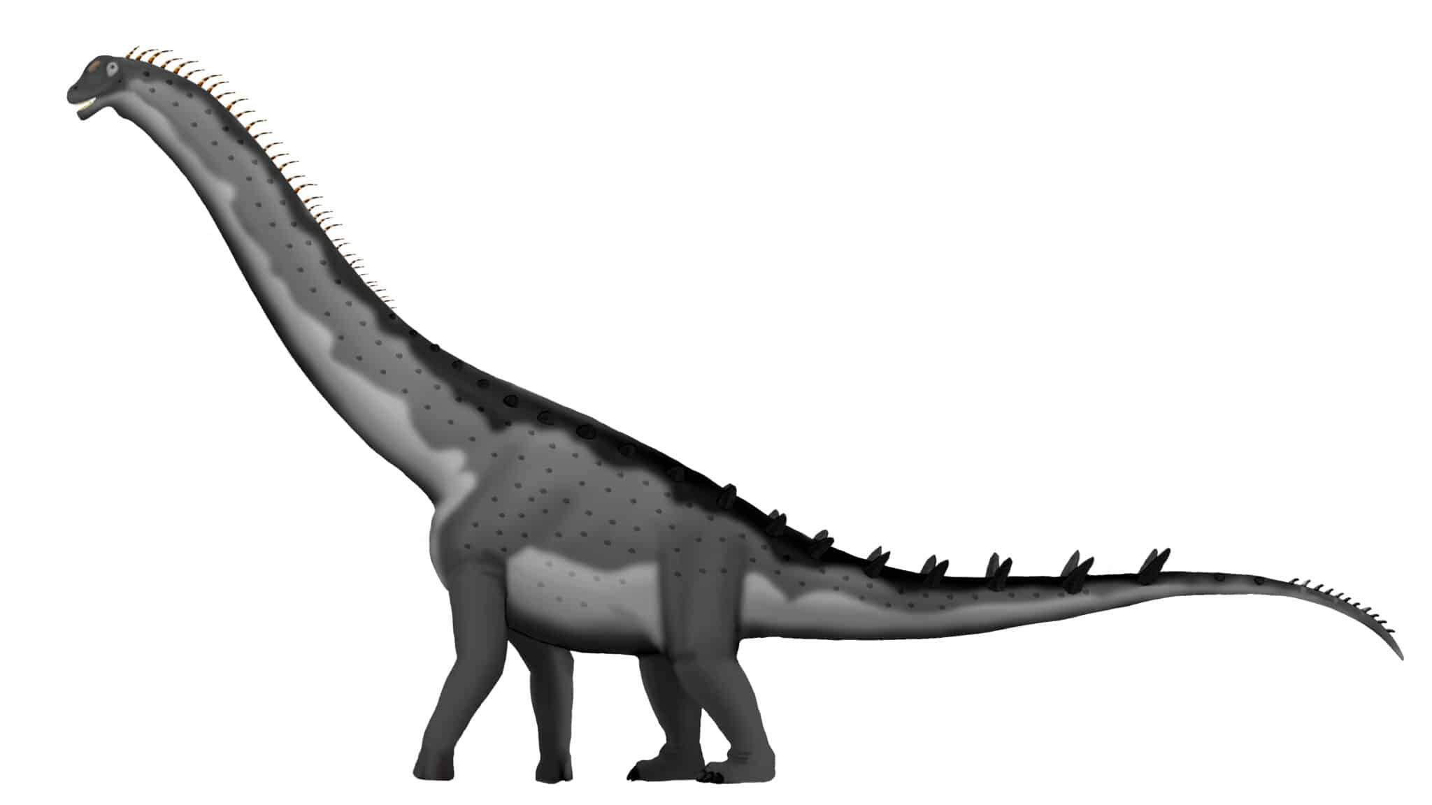 Alamosaurus: Secrets of the Late Cretaceous Titan Unveiled