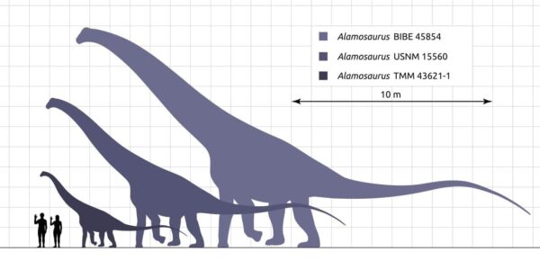 Alamosaurus: Secrets of the Late Cretaceous Titan Unveiled