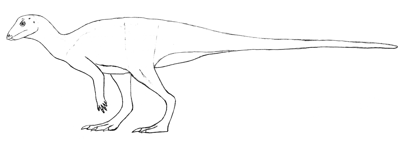 Albertadromeus: The Swift Runner of the Late Cretaceous