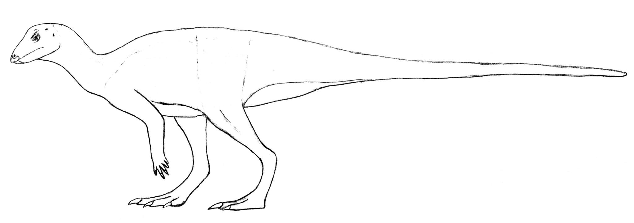 Albertadromeus: The Swift Runner of the Late Cretaceous