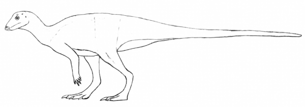 Albertadromeus: The Swift Runner of the Late Cretaceous