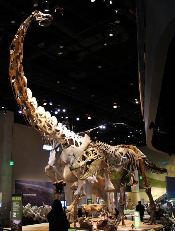 Alamosaurus: Secrets of the Late Cretaceous Titan Unveiled
