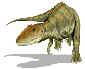 Carcharodontosaurus: Sharp-Toothed Dino of Late Cretaceous