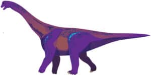 Camarasaurus | The Gentle Giant of the Jurassic Period