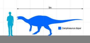 Camptosaurus | The Flexible Lizard of the Jurassic Era