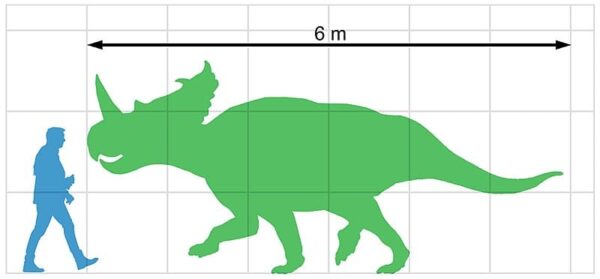 Centrosaurus | The "Pointed Dinosaur" of the Late Cretaceous