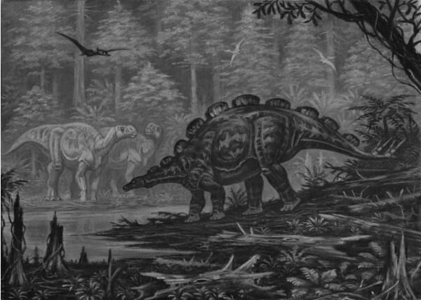 Wuerhosauru | Asian Stegosaurid Dinosaur From Early Cretaceous