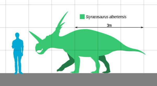 Styracosaurus | "Spiked Dinosaur" of the Cretaceous Era