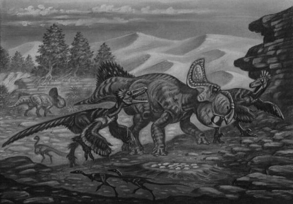 Velociraptor | A Swift Predator from the Cretaceous Period