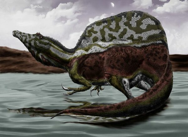 Spinosaurus: The River Predator from the Cretaceous Period