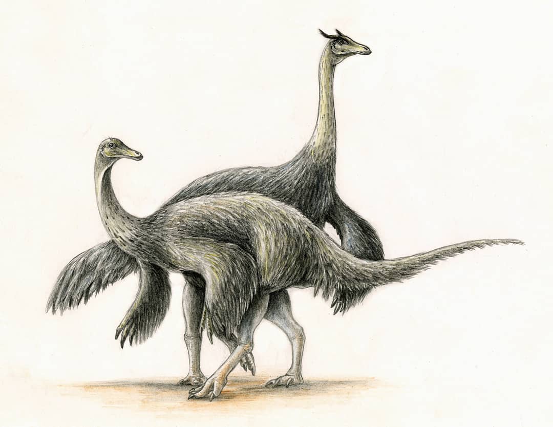 Anserimimus - The Goose Mimic Dino of the Late Cretaceous