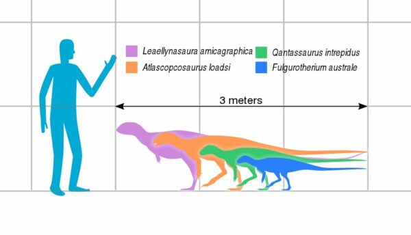 Atlascopcosaurus | The Early Cretaceous "Atlas Copco Dinosaur"