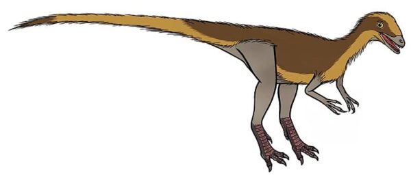 Compsognathus | The "Elegant Predator" of the Late Jurassic Era