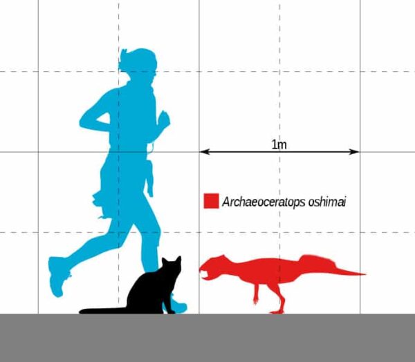 Archaeoceratops | Early Cretaceous "Ancient Horned Face"