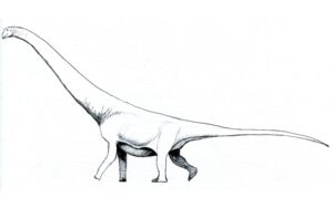 Andesaurus - The Andes Dinosaur of the Late Cretaceous