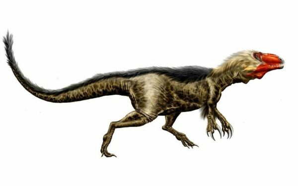 Dryptosaurus | Ground-Dwelling Carnivore of the Late Cretaceous