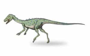 Noasaurus | Late Cretaceous Northwestern Argentina Dinosaur