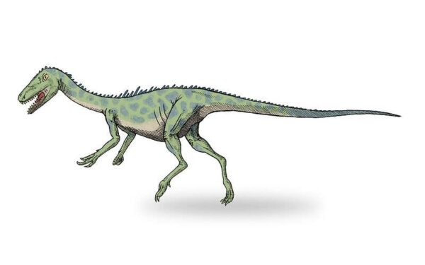 Noasaurus | Late Cretaceous Northwestern Argentina Dinosaur
