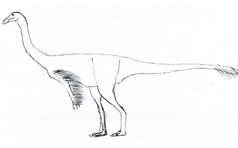 Anserimimus - The Goose Mimic Dino of the Late Cretaceous