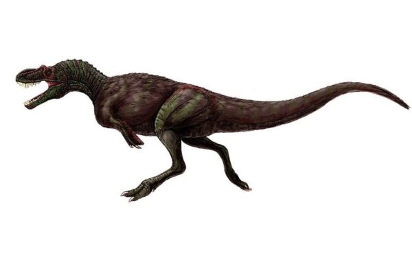 Appalachiosaurus - Fierce Predator of the Late Cretaceous