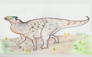 Aralosaurus- the Aral Sea Lizard from the Late Cretaceous
