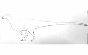 Atlascopcosaurus | The Early Cretaceous "Atlas Copco Dinosaur"