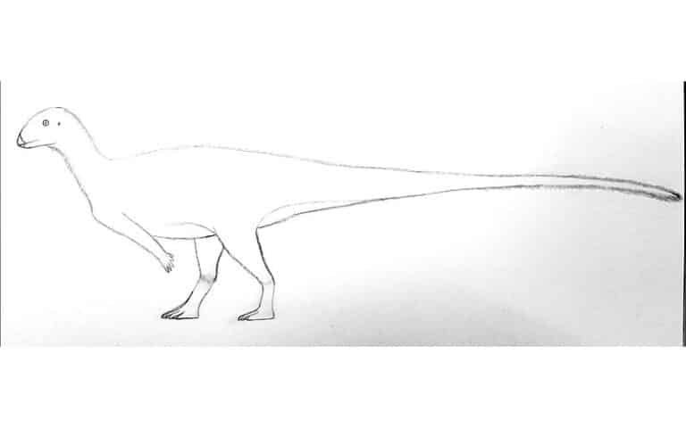 Atlascopcosaurus | The Early Cretaceous "Atlas Copco Dinosaur"