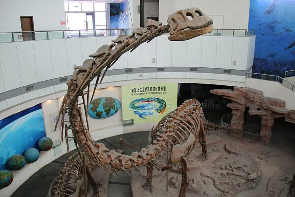 Mamenchisaurus | A Giant Sauropod of Late Jurassic Asia