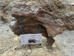 Mamenchisaurus | A Giant Sauropod of Late Jurassic Asia