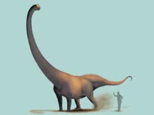 Mamenchisaurus | A Giant Sauropod of Late Jurassic Asia