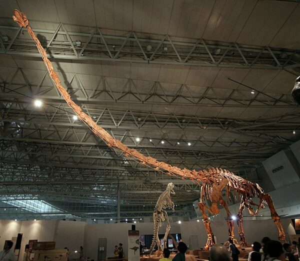 Mamenchisaurus | A Giant Sauropod of Late Jurassic Asia